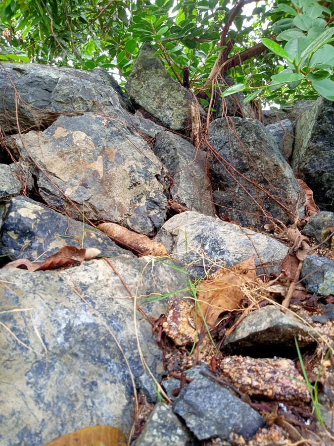 A Blue Sea and Rocks Nature Background Stock Photo - Image of nature ...