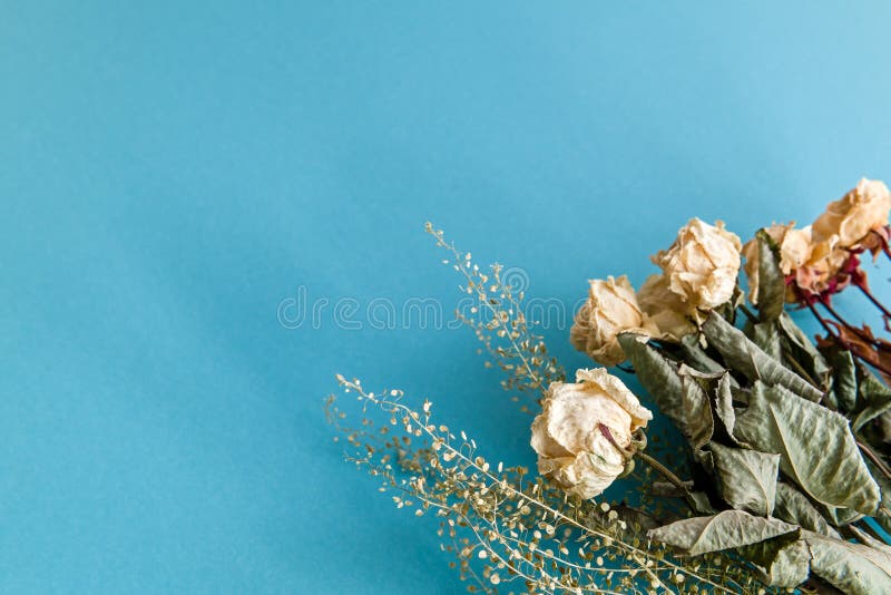 Blue romantic background stock photo. Image of copy - 261352506