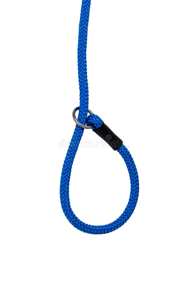 Noose with ring stock image. Image of animal, control - 212067319