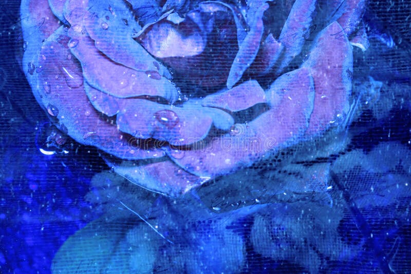 Mystical Flower Entrance stock image. Image of botanical - 2891791