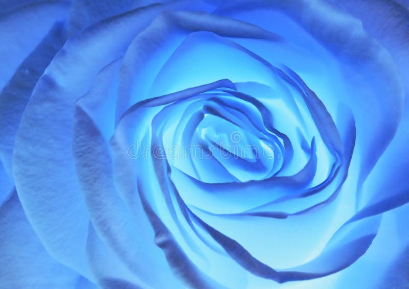 Blue eye stock image. Image of blue, eyebrow, level, eyelid - 1353695