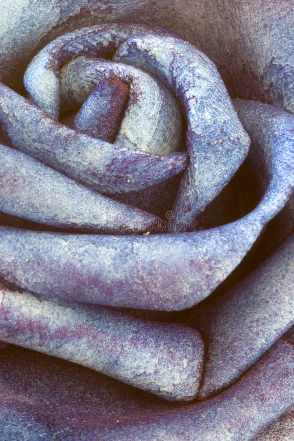 Chapter one stock photo. Image of literature, letter, writer - 2160742