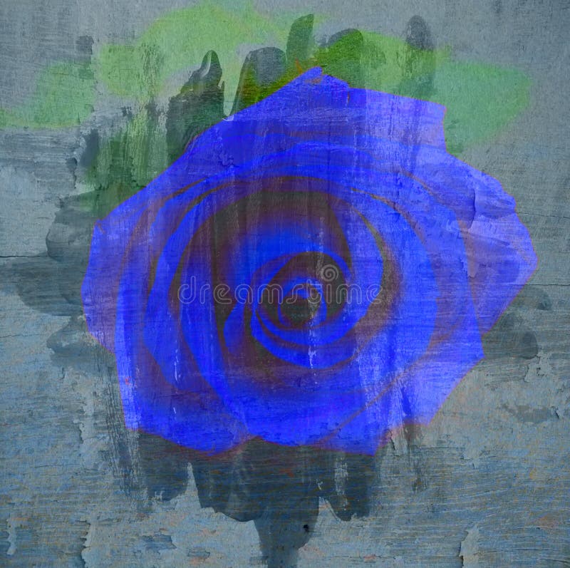 Blue Rose Art Paint on Grunge Texture. Stock Image - Image of paint ...