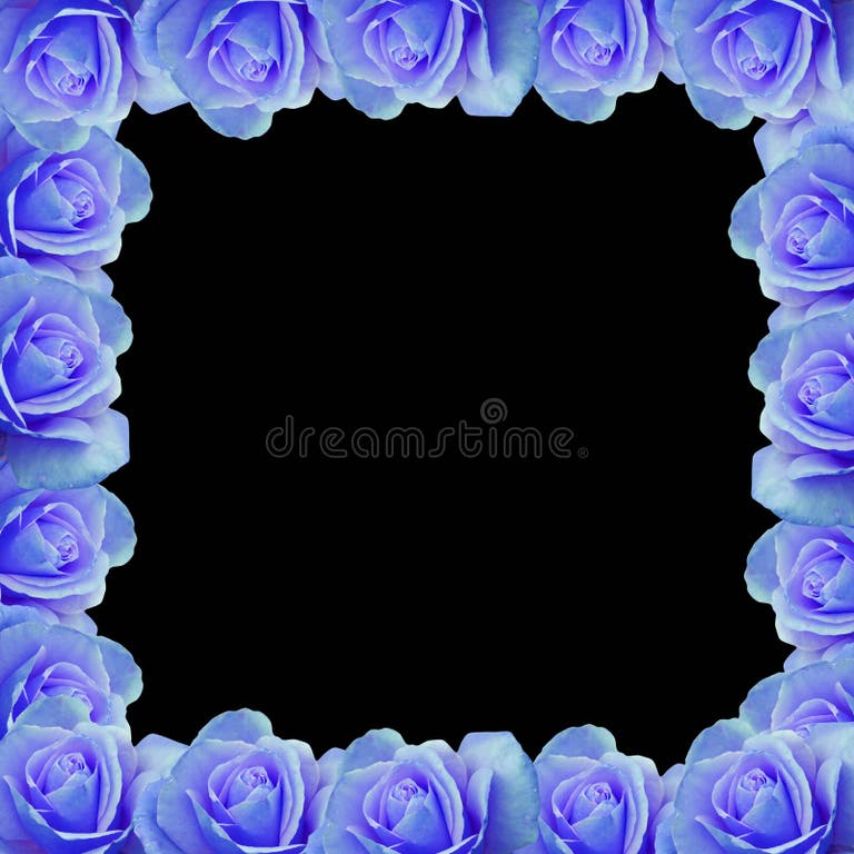 Blue rose vector border stock vector. Illustration of giving - 14237097