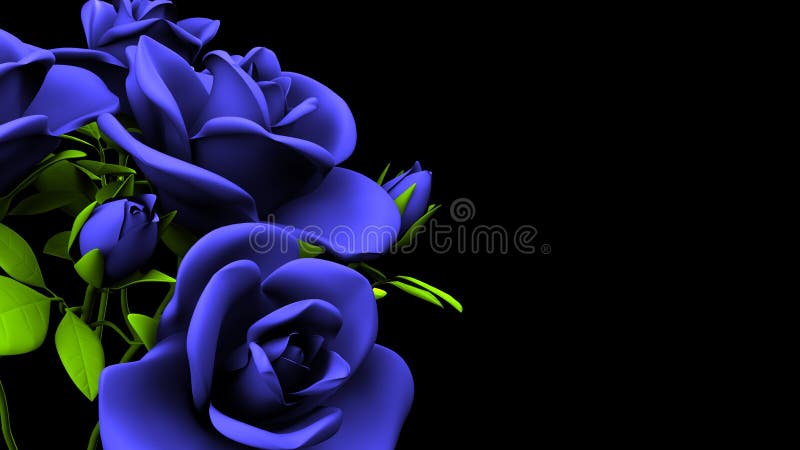Blue And Black Roses Bouquet