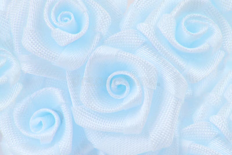 Blue Roses Flower Background Stock Photo - Image of blue, floral: 103015914