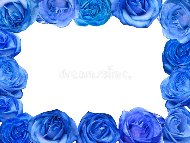 Blue roses frame stock image. Image of framing, pattern - 5107937