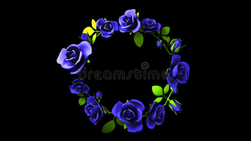 Blue Roses Frame on Black Text Space Stock Footage - Video of material ...