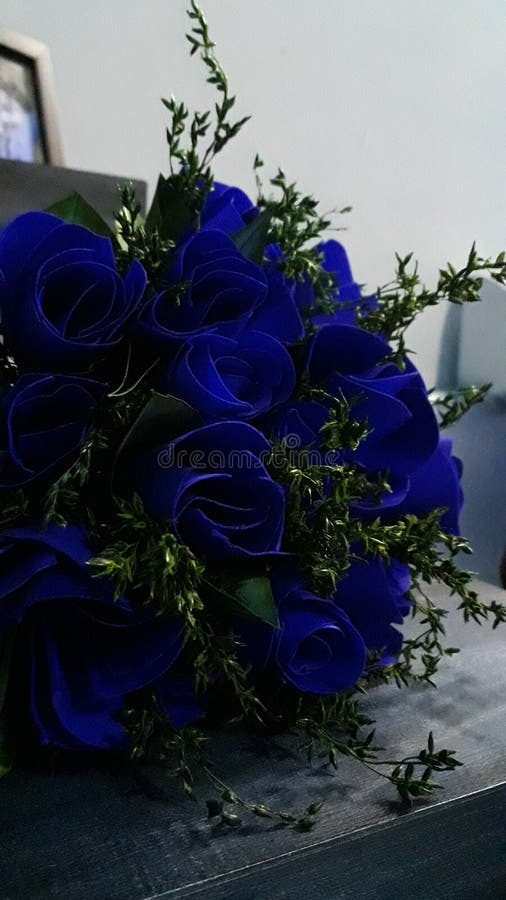 Blue Roses with Wall in the Background Stock Image - Image of outdoor ...