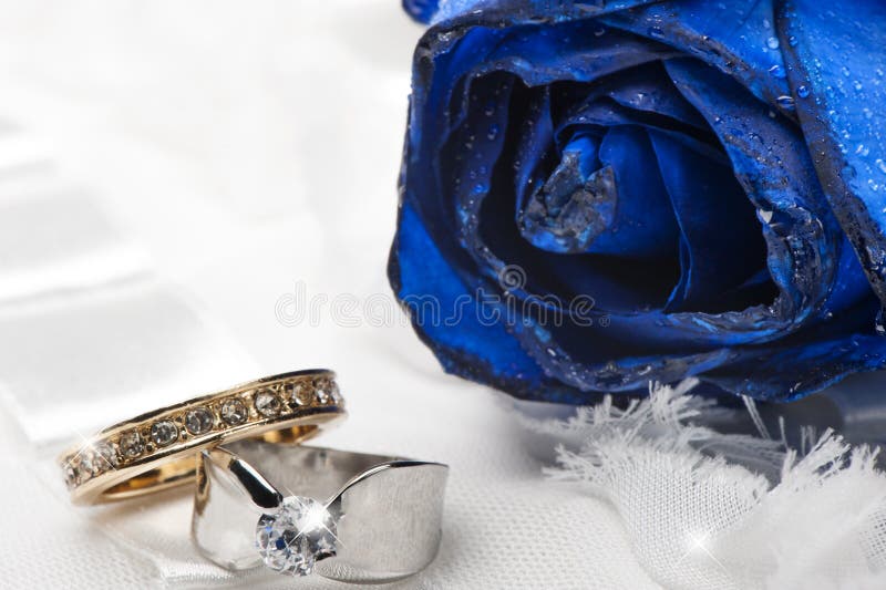 A Blue Roses and Wedding Rings Stock Photo - Image of jewel, beautiful ...