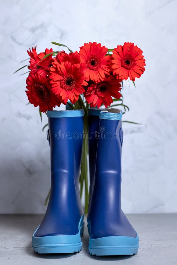 Rubber Boots with a Bouquet of Red Gerberas Stock Photo - Image of ...