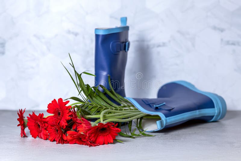 Rubber Boots with a Bouquet of Red Gerberas Stock Image - Image of ...