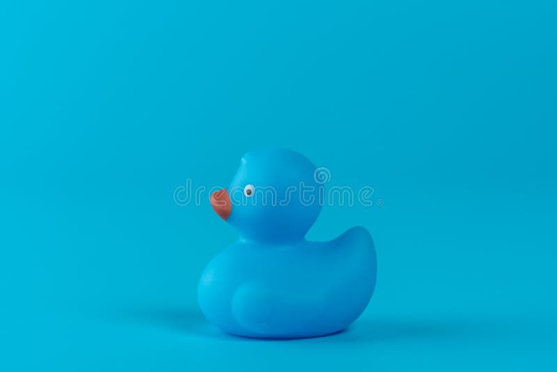 Blue Rubber Duck on Blue Background. Summer Minimal Concept Stock Photo ...