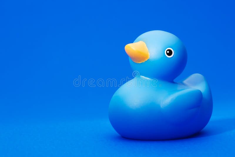 Blue Rubber Duck On Blue Background Picture. Image: 8592104