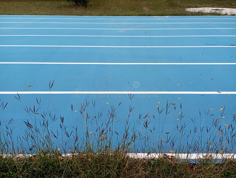 Blue Runway. the Start and End of the Stadium Track Stock Photo - Image ...