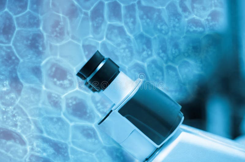 Two Blue Science Flask with Chemistry Molecular Structure in Blue ...