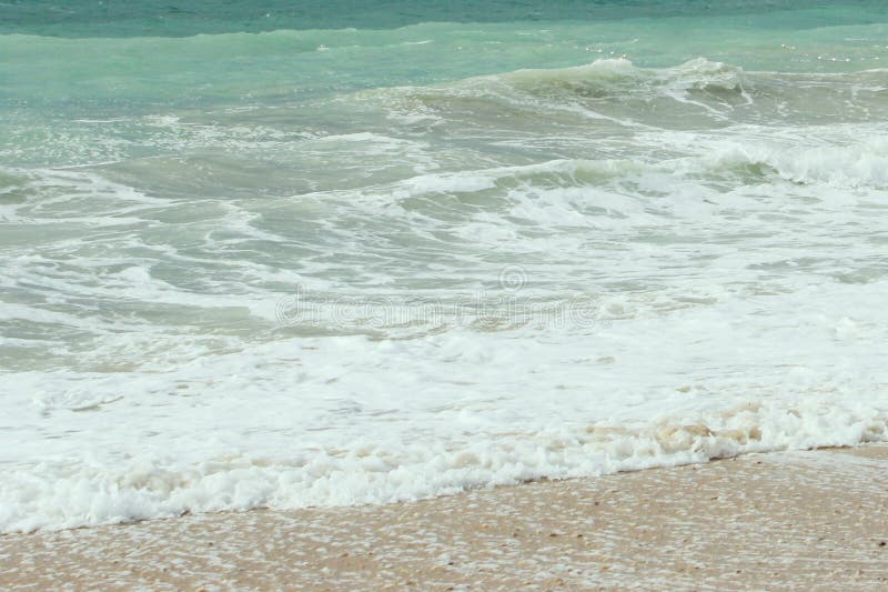 126 Makro Beach Stock Photos - Free & Royalty-Free Stock Photos from ...