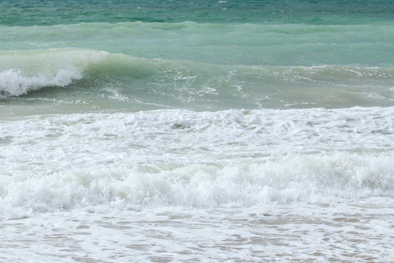 126 Makro Beach Stock Photos - Free & Royalty-Free Stock Photos from ...