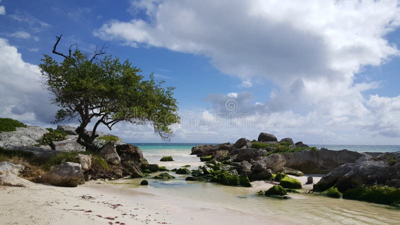 Blue sea coastline stock photo. Image of rock, travel - 73826358