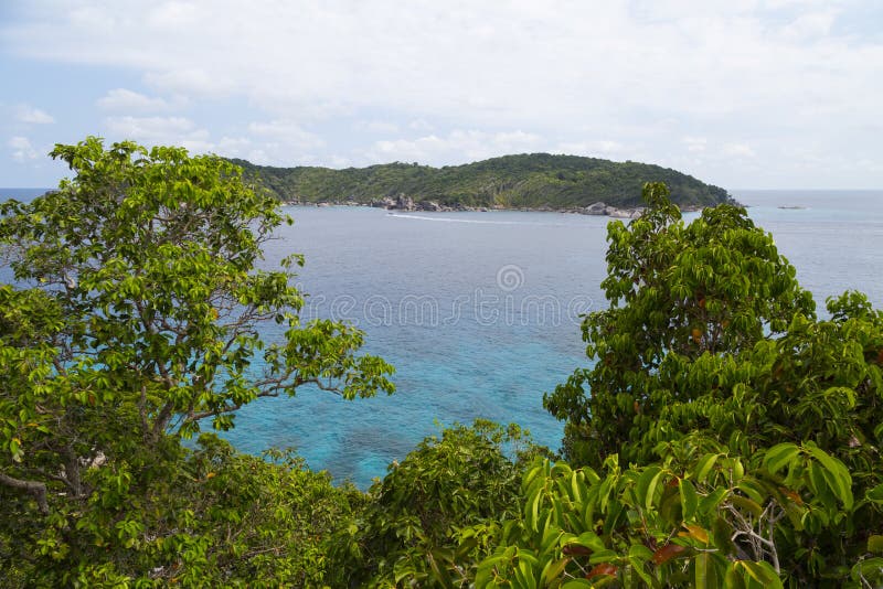 Blue sea and tree front stock image. Image of landscape - 54461469