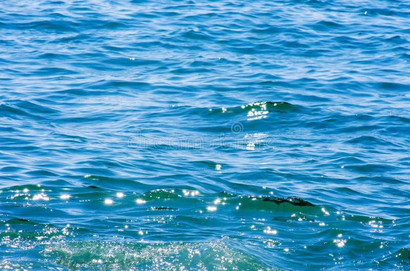 Blue sea water background stock image. Image of summer - 263612441