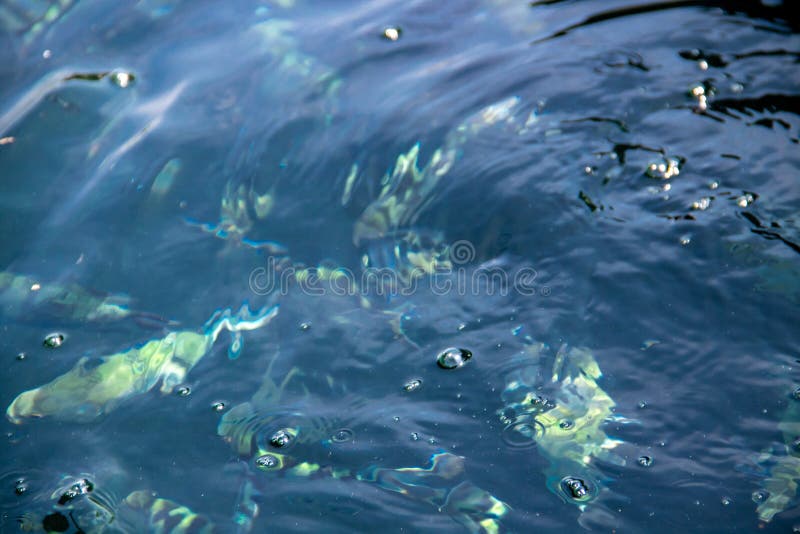 Blue Sea Water Puddle Abstract Shape Background Stock Photo - Image of ...