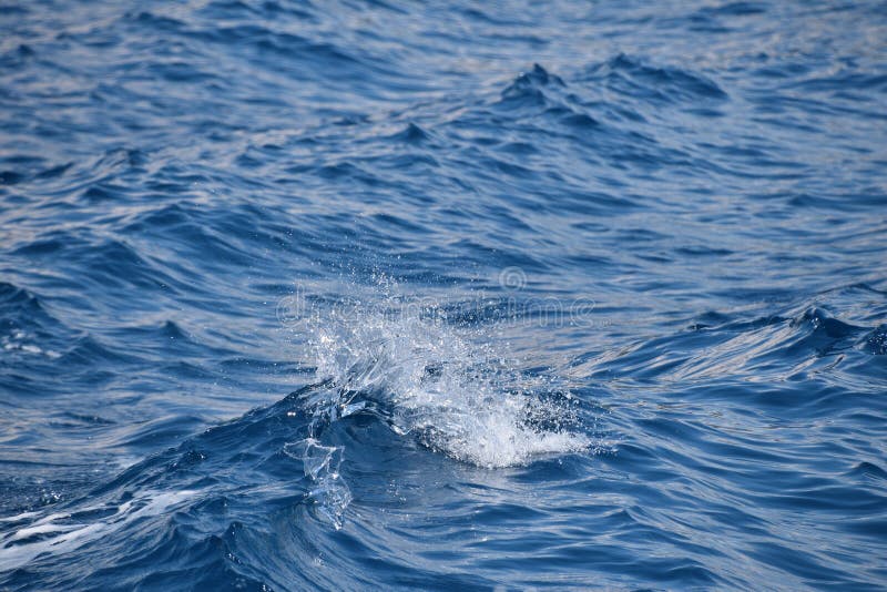 Blue Sea Water Surface with Ripples and Waves Stock Image - Image of ...