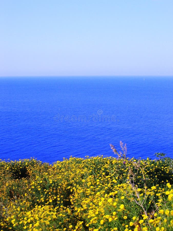 Blue Sea and Yellow Flowers Stock Photo - Image of landscape, freedom ...