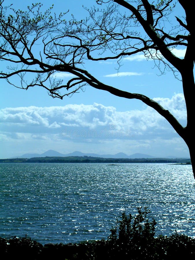 A blue Seascape stock image. Image of surf, waves, trees - 28609