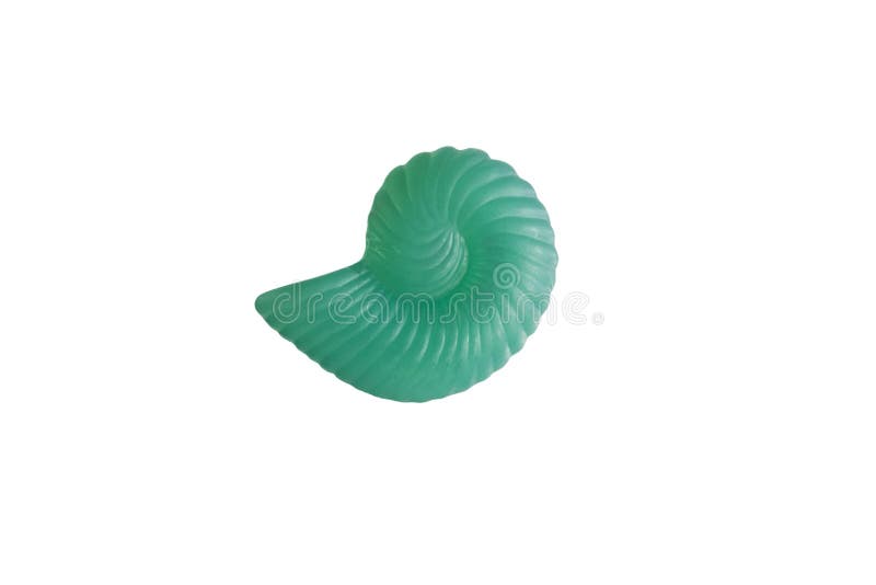 Blue seashell stock photo. Image of heavenly, azure - 101747770