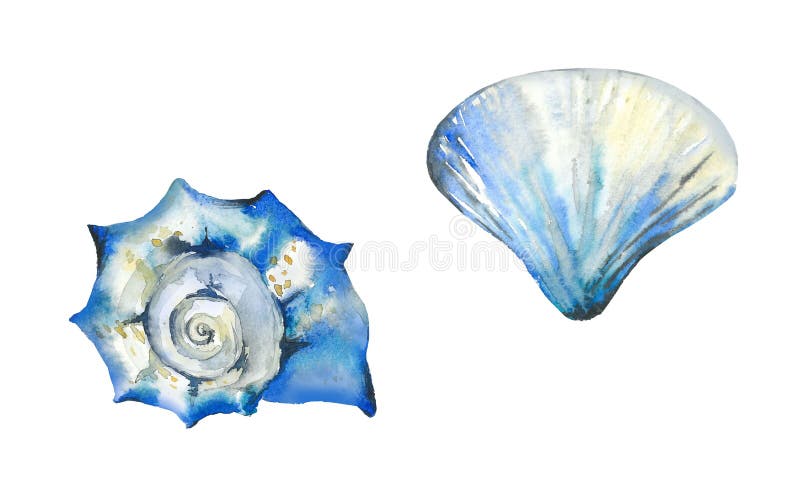 Blue Seashell Set. Watercolour Illustration Isolated on White. Stock ...