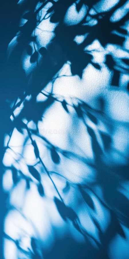 Blue Shadow Leaves Casting Silhouette on Textured Surface Background ...