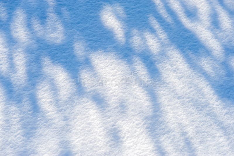 Blue shadows on the snow stock photo. Image of winter - 136724846
