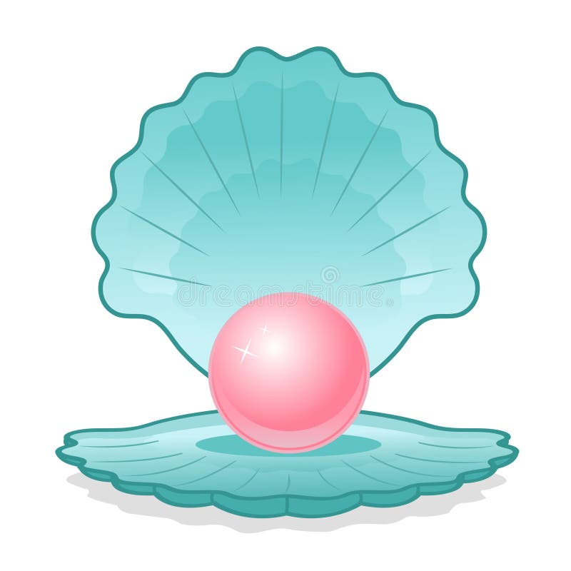Pearl Shell Illustration