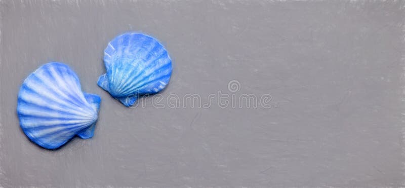 Blue shells stock image. Image of screen, front, board - 49218903