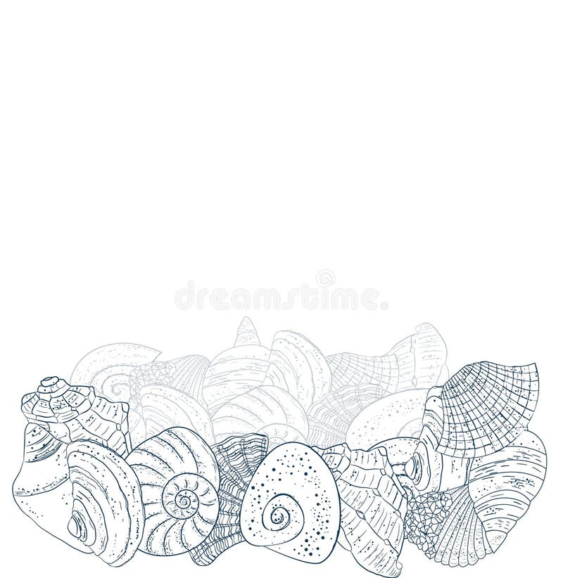 Blue Shells on White Background Stock Illustration - Illustration of ...