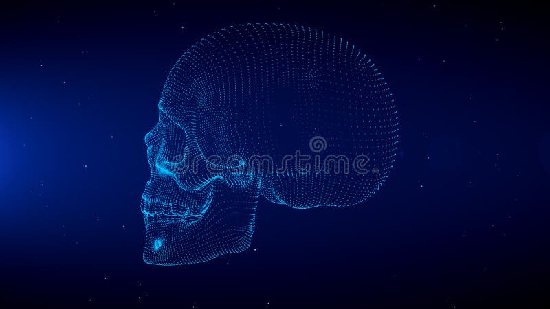 Blue Shine Side View 3d Human Skull Wireframe Hologram with Light Flare ...