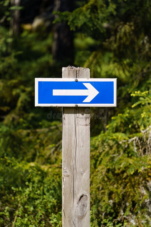 Blue Sign with an Arrow Pointing Right in Forest Stock Image - Image of ...