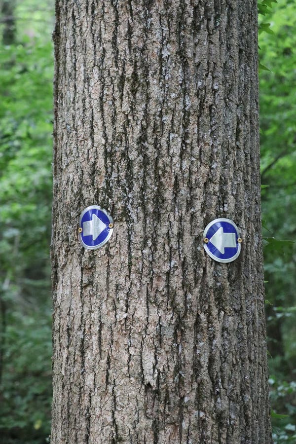 Blue and Silver Arrow Disk Blazes Pointing in Opposite Directions on ...