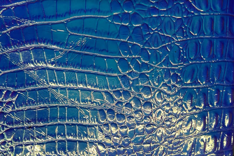 Crocodile texture stock image. Image of alligator, contrast - 10390457