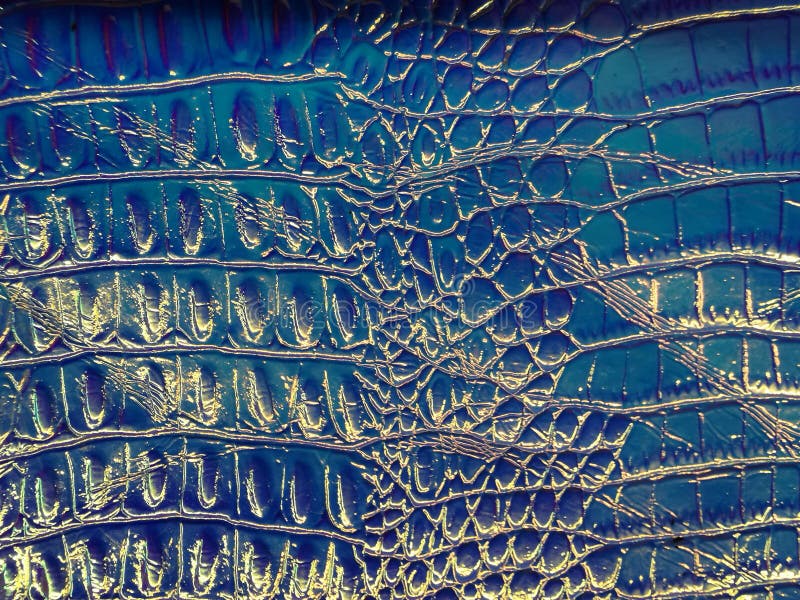 Crocodile texture stock image. Image of alligator, contrast - 10390457