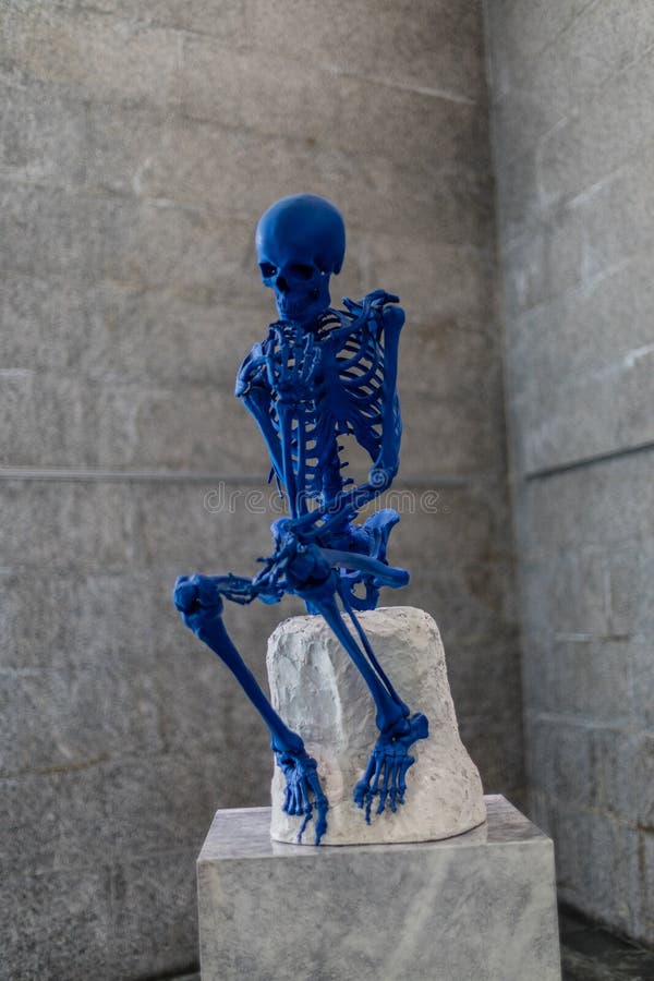 Blue skeleton leaves stock image. Image of background - 10546263