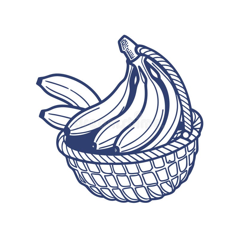 Blue Sketched Bananas in a Basket Vector Illustration Stock Image ...