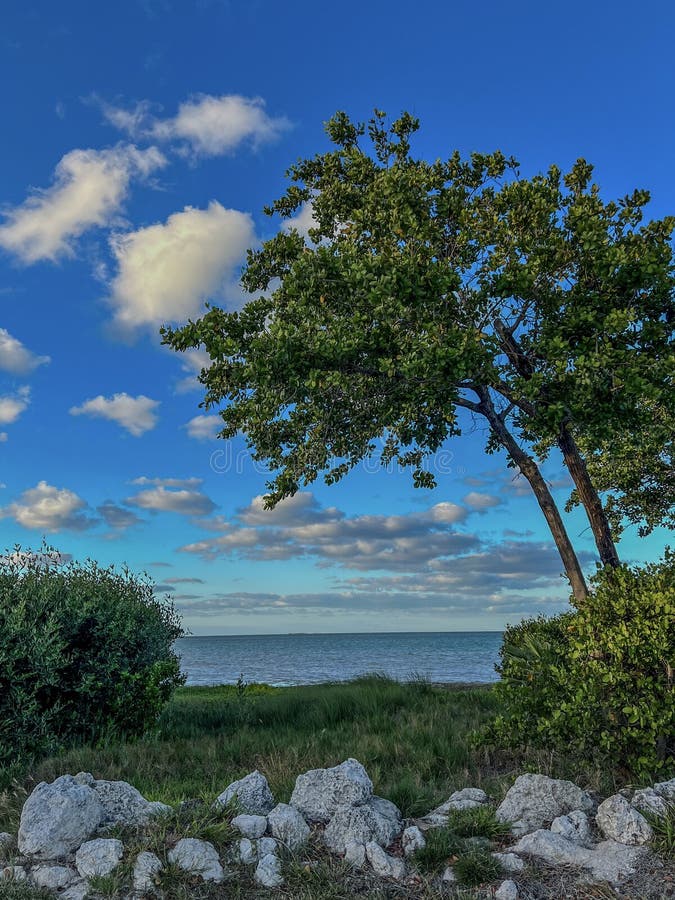 Blue Skies on the Beach at the Keys in Key West, Florida Stock Photo ...