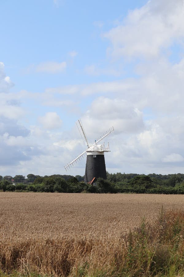 English Windmill in a Corn Field Sails Rotating in the Wind Stock Photo ...
