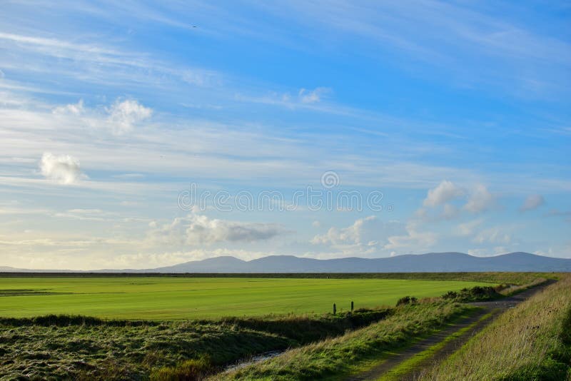Blue Skies Green Fields Long Grass Agriculture Fields Wide Open Space ...