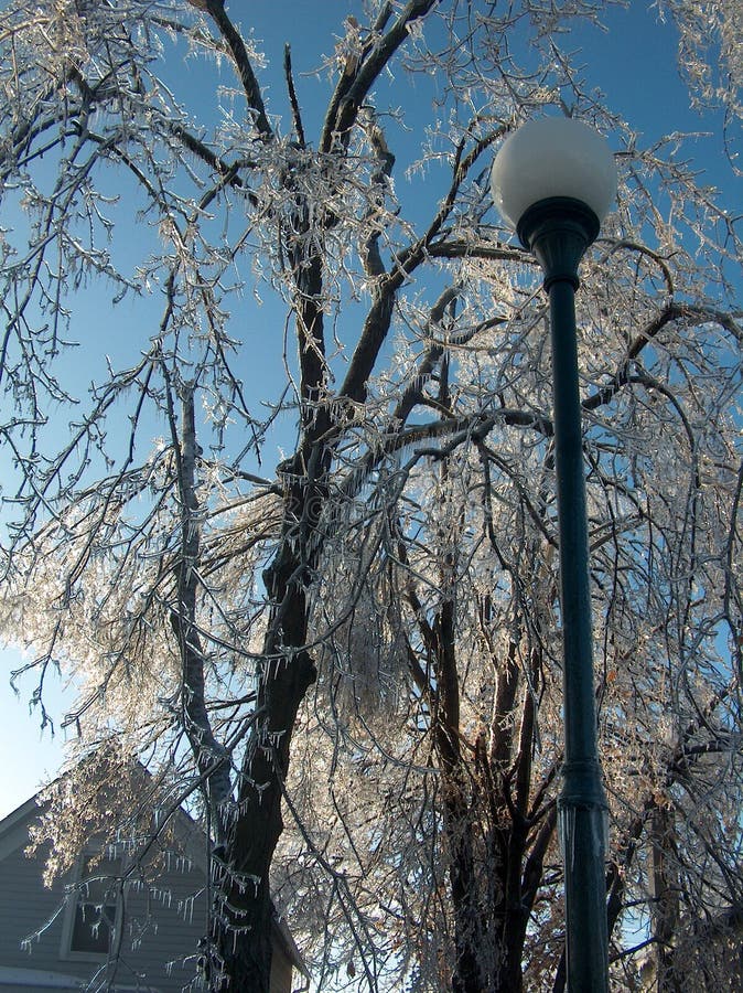 Blue Skies after an Ice Storm Stock Image - Image of white, freezing ...