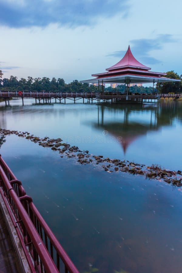 MacRitchie Reservoir Singapore Stock Photo - Image of tropical ...