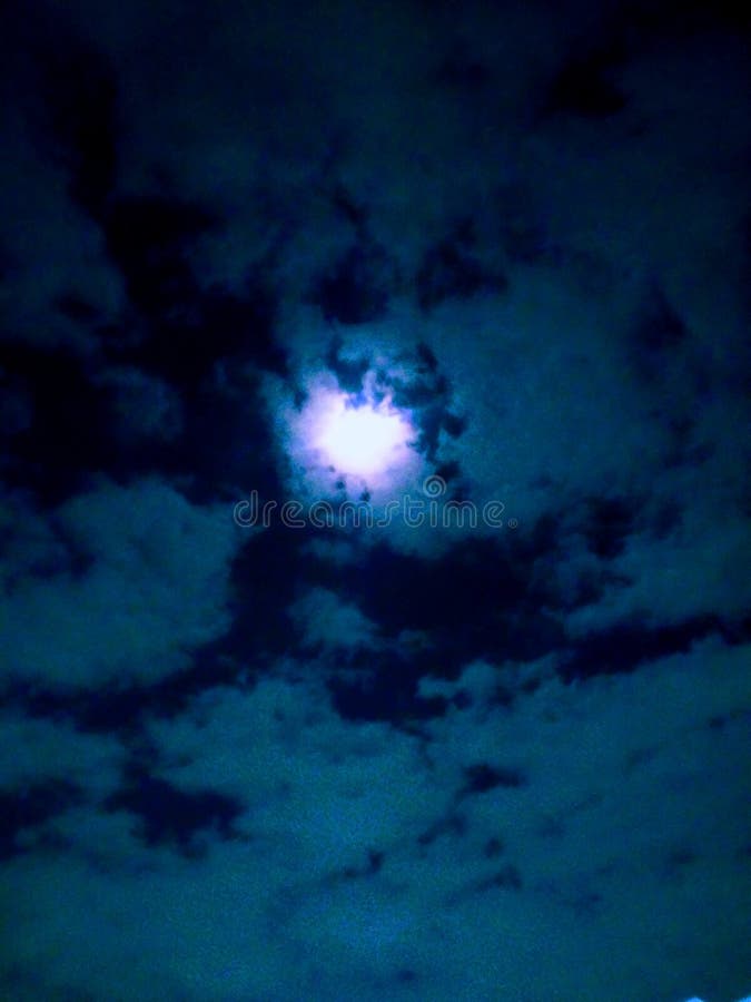 Blue Skies in Texas stock photo. Image of texas, blue - 211708812