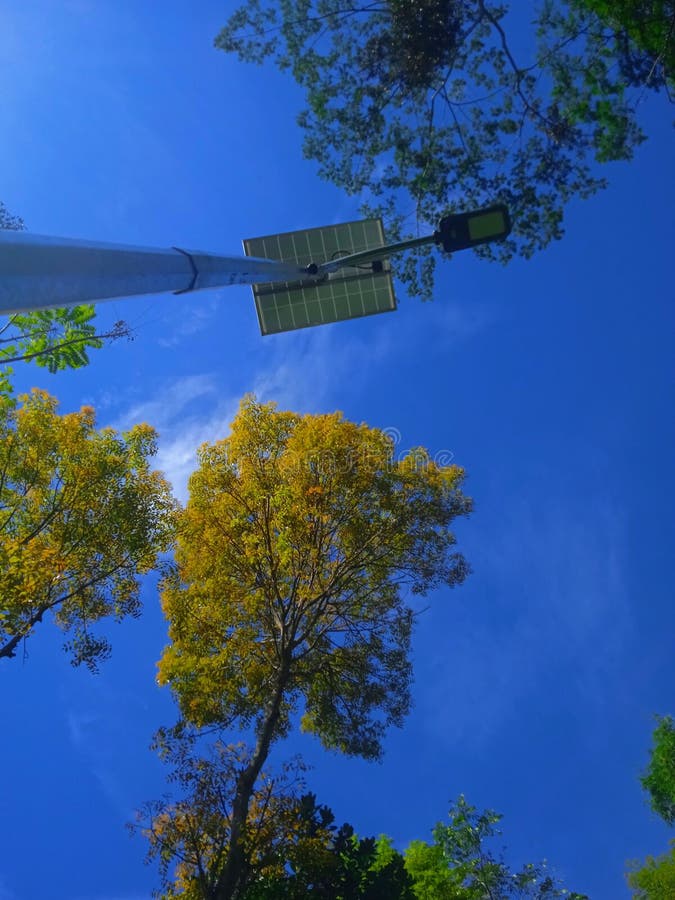 Blue Skies, Yellow Trees, and Solar Street Lights. Stock Image - Image ...